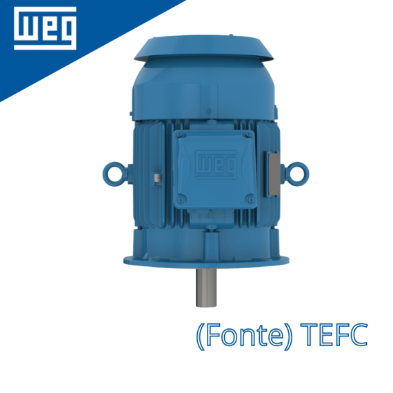 Moteur électrique W22 - Fonte TEFC Nema triphasé