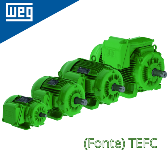 Moteur électrique W22 - Fonte TEFC Nema triphasé